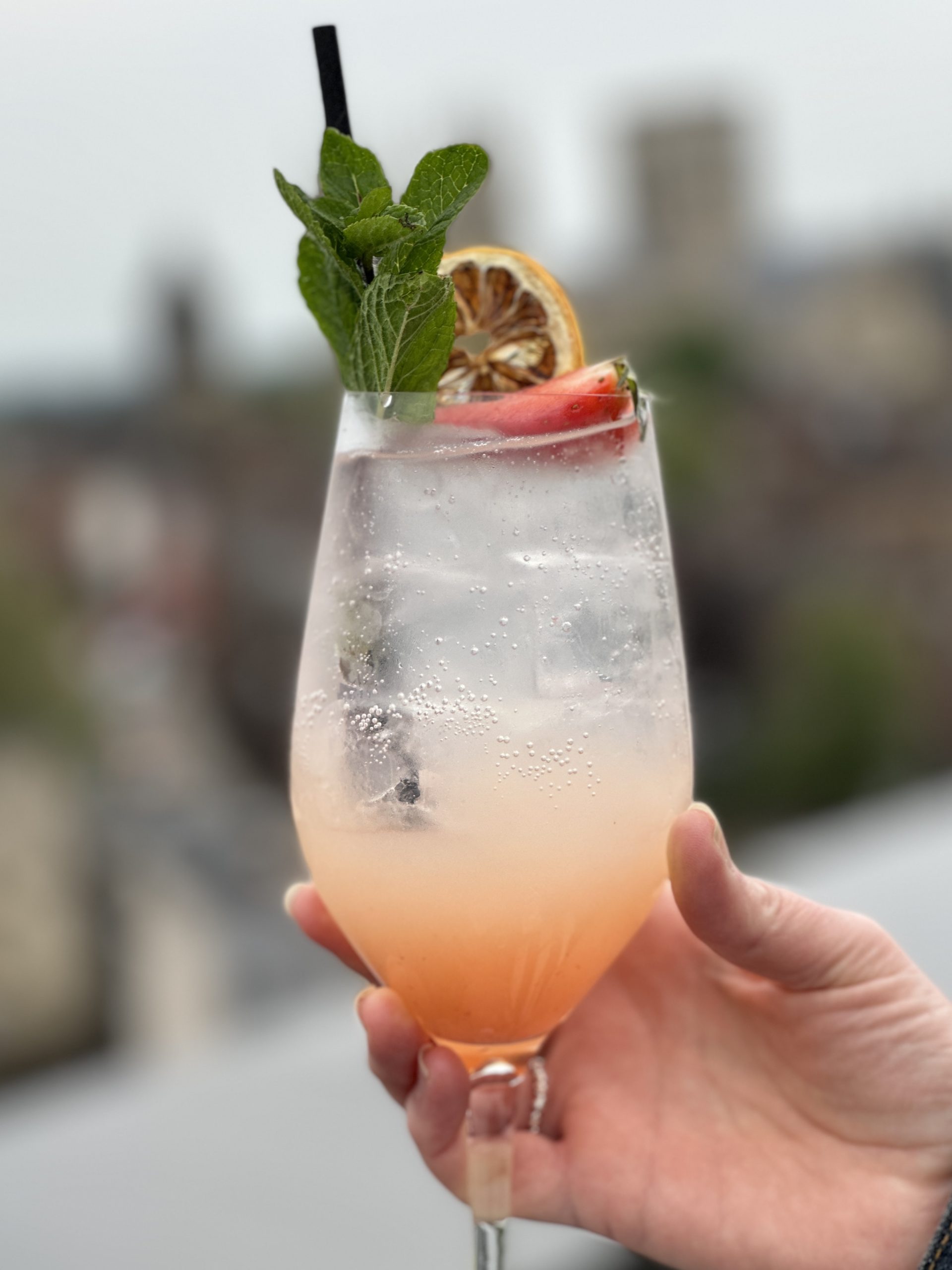 Sora Spring Specials - York on a Fork